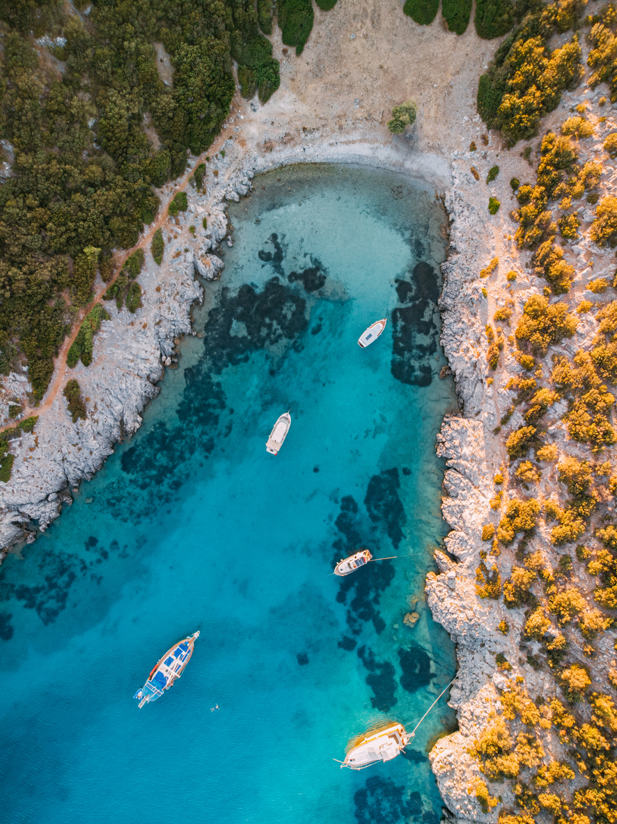 What Is A Motorboat And How To Use It? - viravira.co Blog